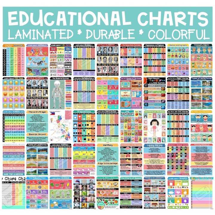 fenxian144140 Laminated Educational Wall Charts for Kids - A4 BEST ...
