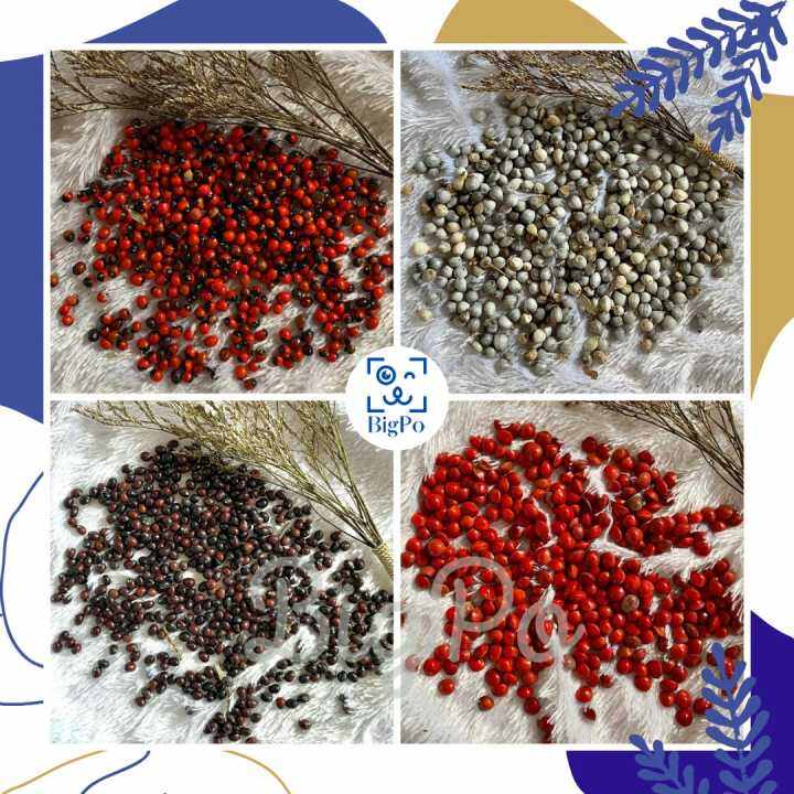 (20 biji) Kerajinan Kolase Biji Saga Merah Hitam Saga Telik Jali Barley ...
