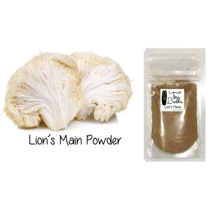 organic lion's mane lion lions extract mushroom powder 25g superfood ...