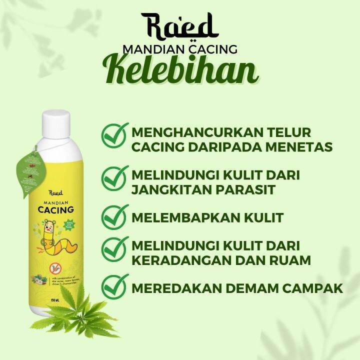 Sabun Mandian Chacing Raed Bahan dari Herba dan Organik untuk Kanak ...