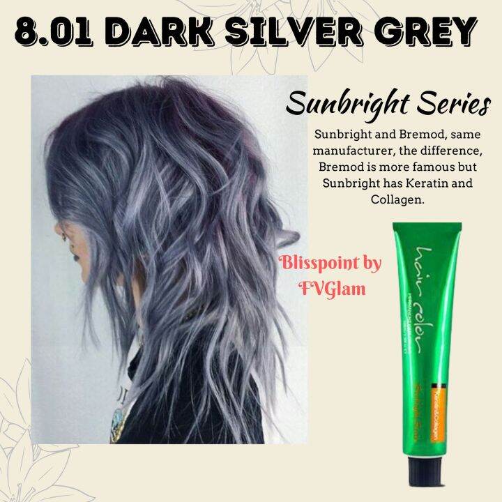 Bliss Point 8.01 Dark Silver Grey Sunbright Series Hair Color 100ML ...