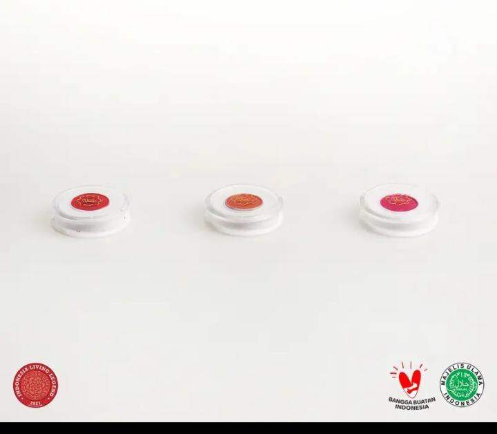 VIVA FIN TOUCH (BLUSH ON) FINISHING TOUCH - 2gr (TERSEDIA 3 VARIAN ...