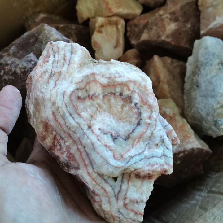 Aquascape and Aquarium Layered - Samurai Stone | Lazada PH