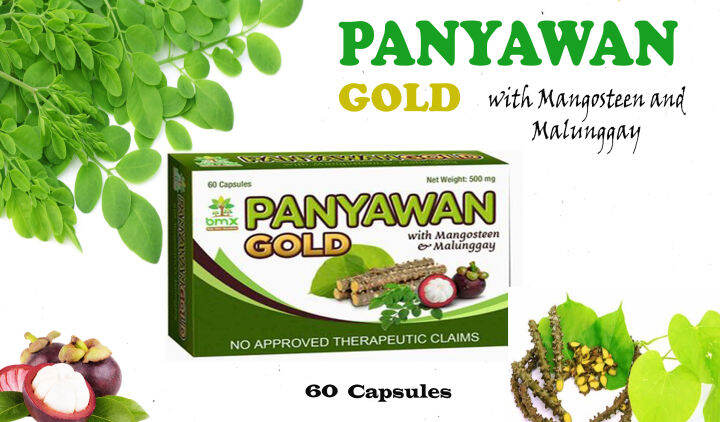 AUTHENTIC PANYAWAN GOLD WITH MANGOSTEEN AND MALUNGGAY (60 CAPSULES ...