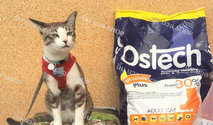 อาหารแมว Ostech (ออสเทค) ของแท้จากโรงงาน แบบขนาด 20 kg. !!! อาหารไม่ ...
