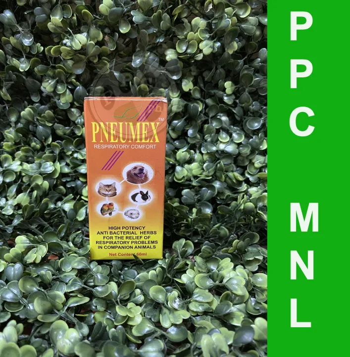PNEUMEX Syrup Supplement for Respiratory Dogs and Cats (safe for ...