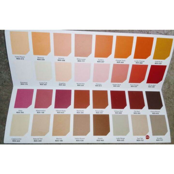 RAIN OR SHINE ELASTOMERIC WATERPROOFING PAINT 1 GALLON (PART2) WALANG ...