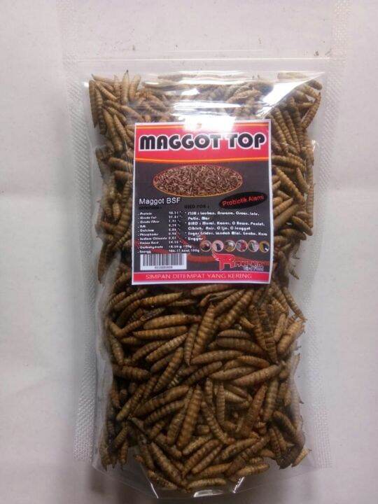 MAGGOT TOP 50 GRAM SUPER PAKAN MAKANAN BURUNG BIRD FEED | Lazada Indonesia
