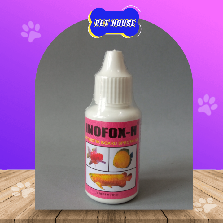 INOFOX H 30ML - OBAT CAIR ANTI INFEKSI PIKAN HIAS AMPUH MEMBASMI SEGALA ...