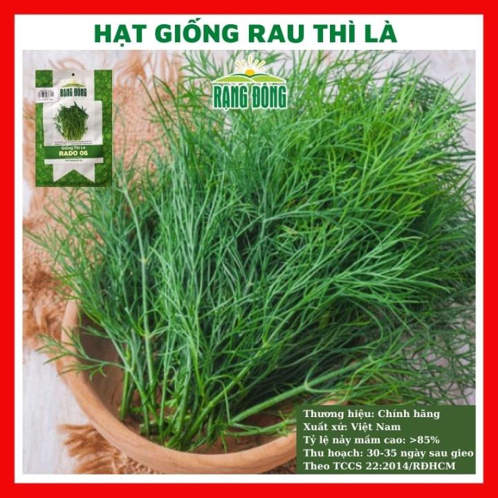 Hạt giống rau thì là (thanh hao) - rau củ quả trồng chậu, trồng vườn ngon giòn ngọt tỉ lệ nảy ...
