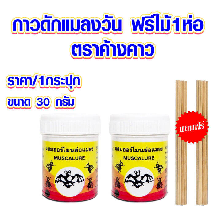 กาวดักแมลงวัน ตราค้างคาว ฟรีไม้1ห่อ จับแมลง ดักแมลง กาว ผสมฮอร์โมน ล่อ ...