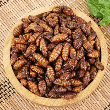 Silkworm Cocoon Food