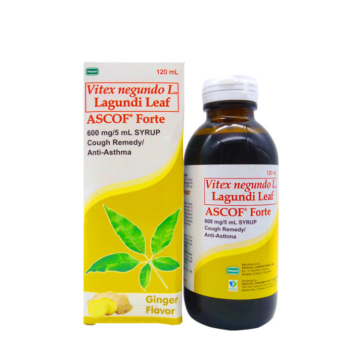 ASCOF FORTE SYR GINGER 600MG/5ML 120ML | Lazada PH