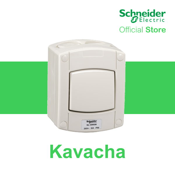 Schneider Electric Kavacha 20A 1 Gang Double Pole Switch | Lazada