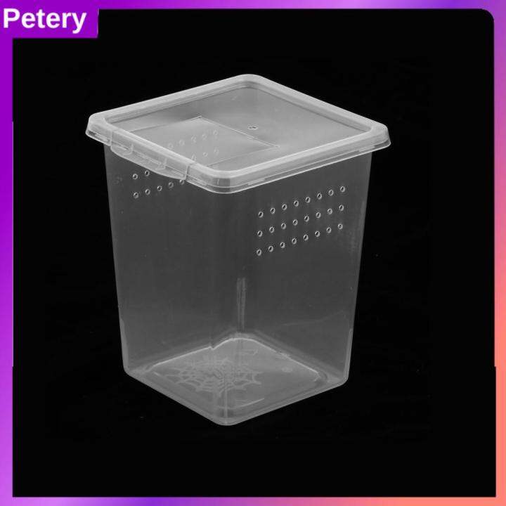 Petery Plastic Insect Spider Habitat Feeding Box Container Tank DURABLE ...