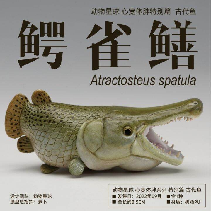 Animal Planet Heart Wide Body Fat Special Alligator Gar Resin Hand ...