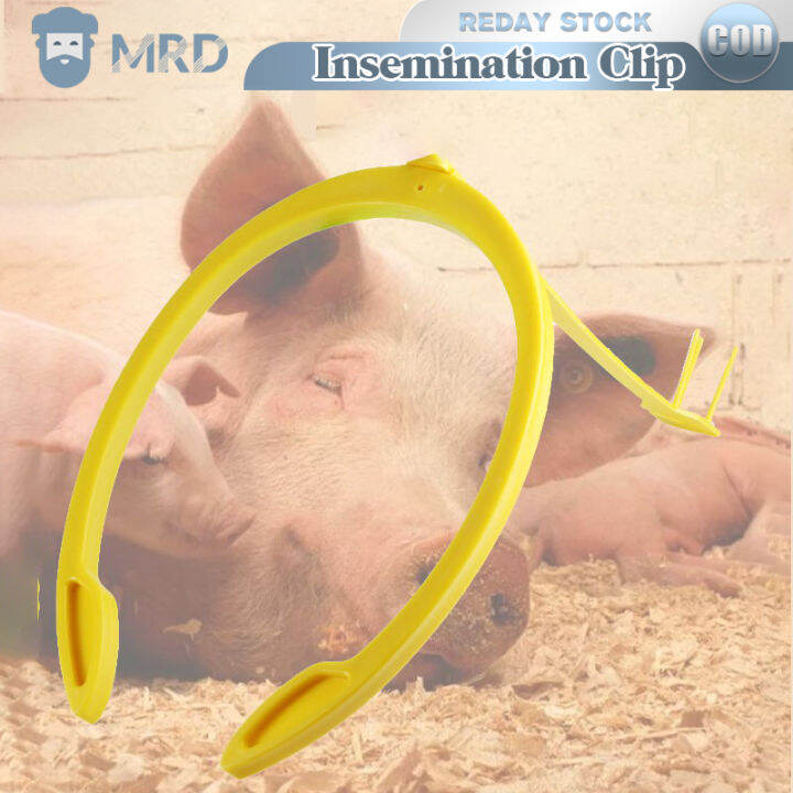 Sows Insemination Clip Insemination Bracket Sows Artificial ...