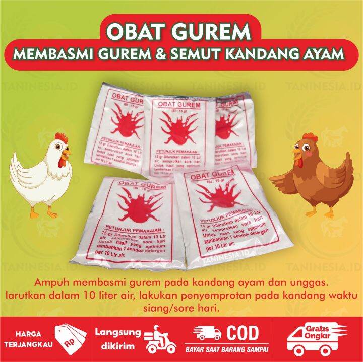 Obat Gurem Ayam Semprot Ampuh Membasmi Gurem dan Kutu Pada Kandang ...