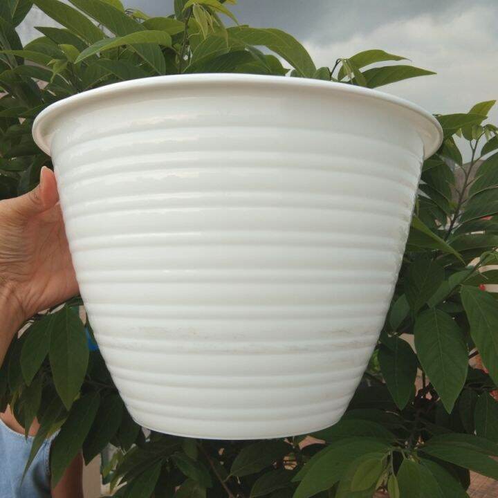 POT TAWON UKURAN 30 CM / POT TANAMAN AGLONEMA / POT PUTIH PLASTIK ...