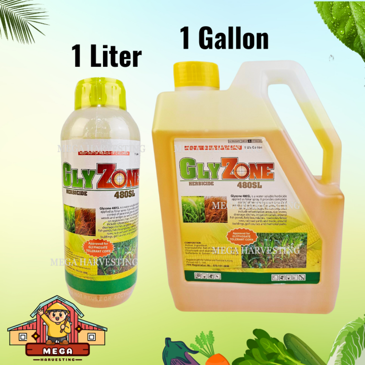 GLYZONE 480SL GLYPHOSATE 1L 1GALLON HERBICIDE PAMATAY DAMO LAWN GRASS ...