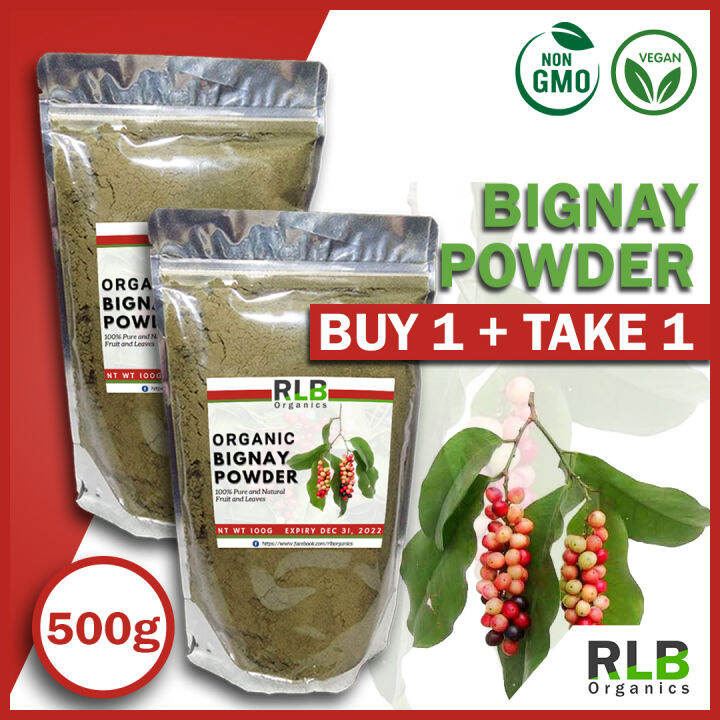 Buy 1 Take 1 - 500 grams Organic Pure Natural Bignay Powder – Bignay ...