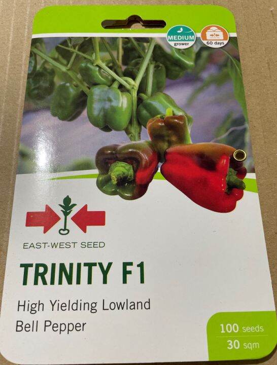 Trinity F1 Hybrid Bell Pepper Seed (100 seeds) East-West Seed | Lazada PH