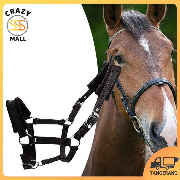 Horse Bridle Rope Tali Kekang Kepala Kuda Bahan Nilon Bisa Dilepas | Lazada Indonesia