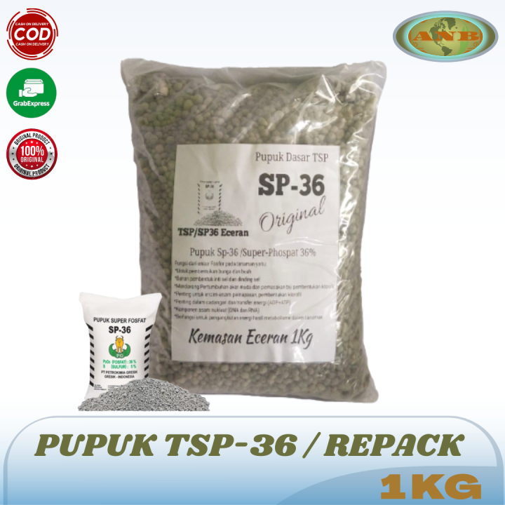 Pupuk Sp-36 /Super - TSP - Phospat 36% - Kemasan Kiloan - Berat 1kg | Lazada Indonesia