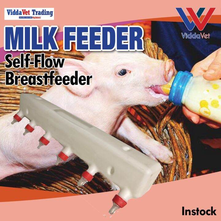 Milk feeder for piglet pig milk feeder piglet auto milk feeder milk ...
