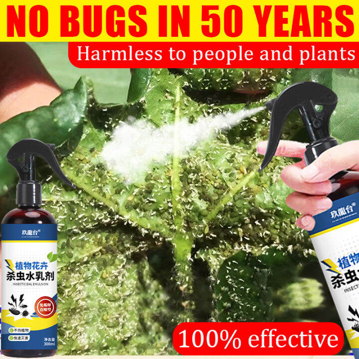 No bugs in 50 years Plant organic insecticide Harmless to people and ...