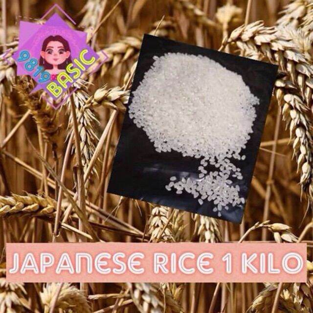 Japanese Rice 1 Kilo | Lazada PH