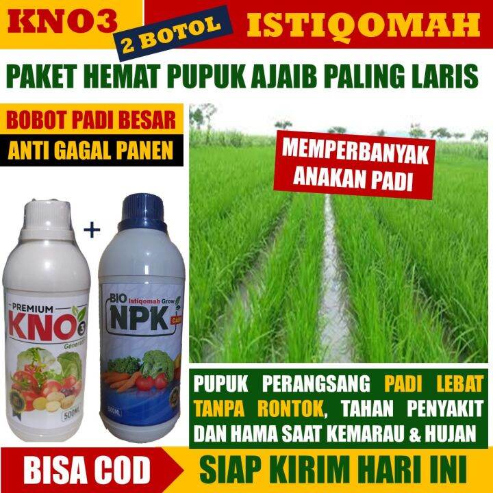 PAKET 2 BOTOL BIO ISTIQOMAH & KNO3 PREMIUM OBAT PELEBAT ANAKAN PADI Lebih Banyak Tanpa Hama Dan ...
