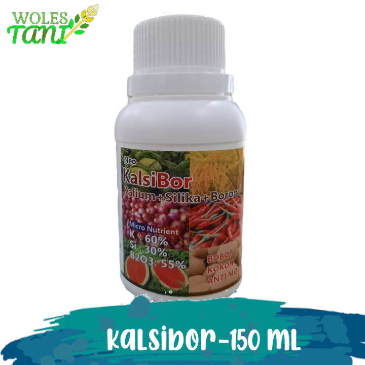 Pupuk Kalsibor 150 ml Pupuk Penambah Bobot dan Anti Moler Umbi | Lazada ...
