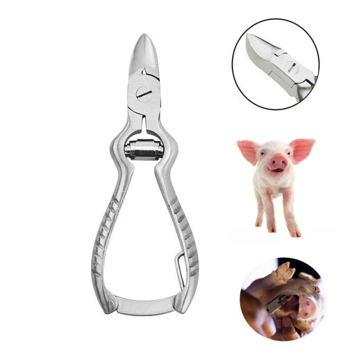 12/14cm Stainless Steel Pig Tooth Nipper Piglet Teeth Cutter Rabbit ...