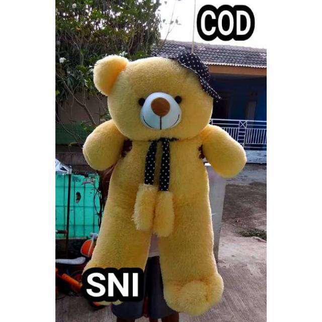 Boneka Besar Beruang Teddy Bear Jumbo 1 Meter | Lazada Indonesia
