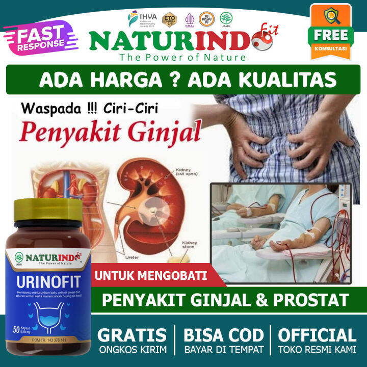 Obat Ginjal Herbal Paling Ampuh Ginjal Bocor Bengkak Kanker Ginjal Batu ...