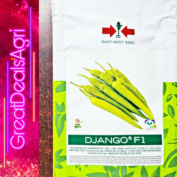 DJANGO F1 HYBRID HOT PEPPER PANIGANG SEEDS ASENSO PACK (425 SEEDS) EAST ...