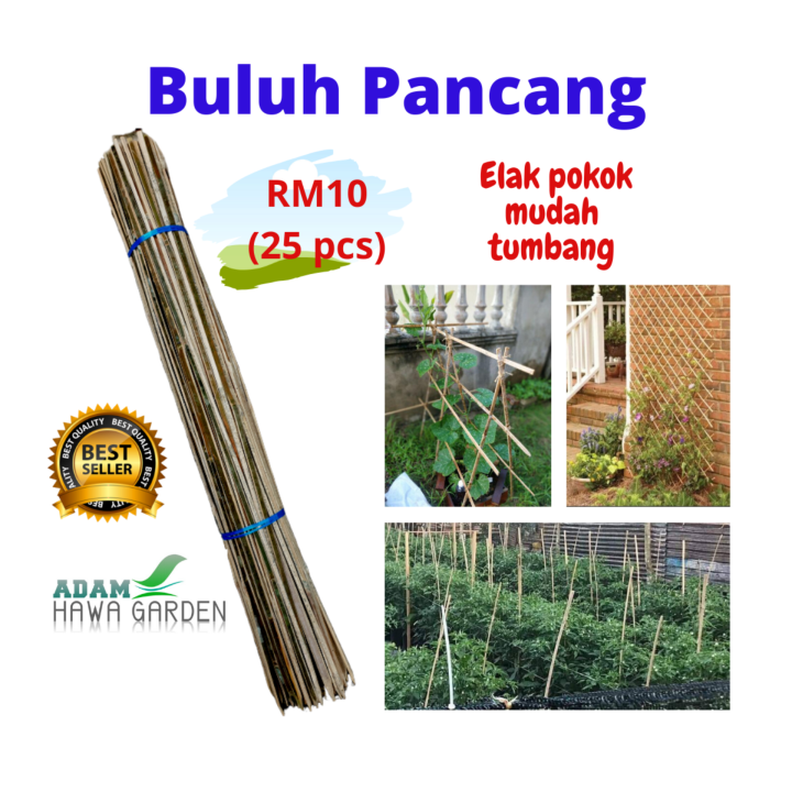 25 PIECES BAMBOO STICK FOR ROSE AND TIPS [1 Meter] - BULUH PANCANG ADAM ...