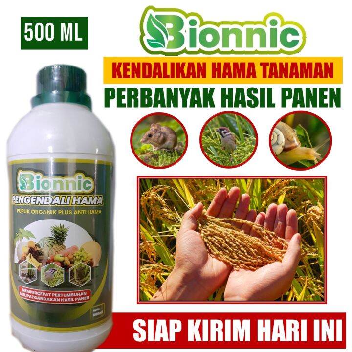 BIONNIC 500 ml Pupuk Semprot Sawah Atasi Tikus Padi, Obat Racun ...