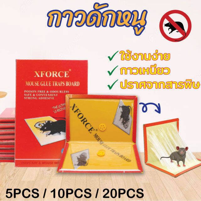 KAIDEE ST กาวดักหนู แผ่นกาวดักหนูสำเร็จรูป กาวดักหนูพร้อมถาด กาวดักหนูวิทยาศาสตร์ กาวดักหนูตัว ...