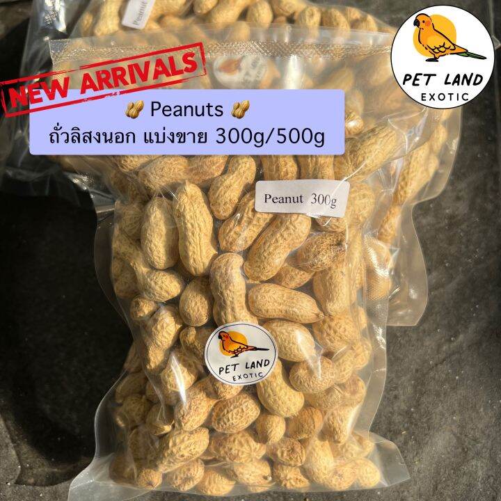 Peanuts ถั่วลิสงนอก นำเข้าจากอเมริกา เกรดA ร่อนฝุ่น อาหารนกแก้ว หนู กระรอก สัตว์ฟันแทะ แบ่งขาย ...