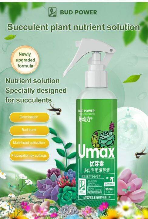 zhaihua2023 Succulent special eubud hormone plant side bud growth ...