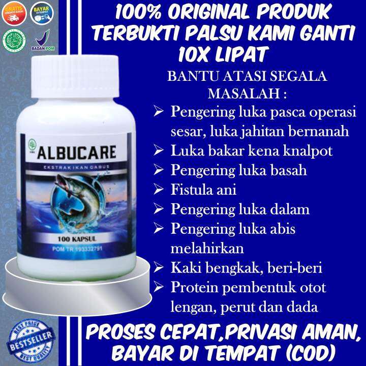 Albucare Ekstrak Ikan Gabus Herbal Plus Albumin Kapsul Kutuk Ikan Gabus Plus Albumin Obat ...