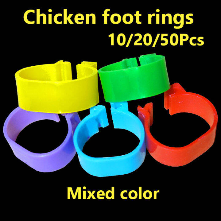 10/20/50Pcs Assorted Chicken leg band Identification leg rings for ...