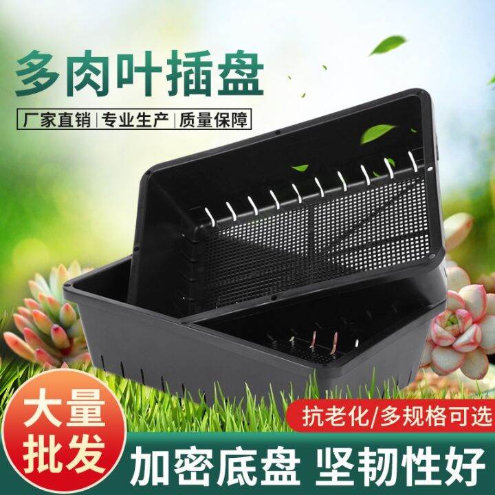 [COD] Encrypted seedling leaf insertion tray with side holes at the ...