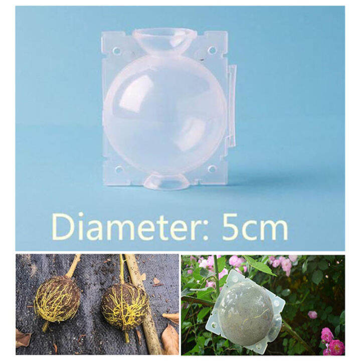 5cm Garden Fruit Tree Plant Rooting Ball Root Growing Boxes Case ...