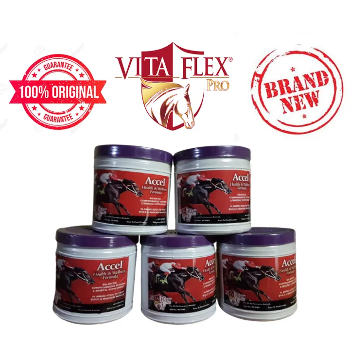 300g Accel Vitaflex Health Wellness Formula for Gamefowl Rooster ...