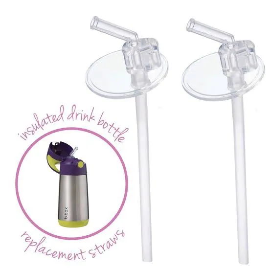 Bbox Replacement Straw Insulated Bottle อะไหล่หลอดขวดน้ำสเเตนเลสเก็บ ...