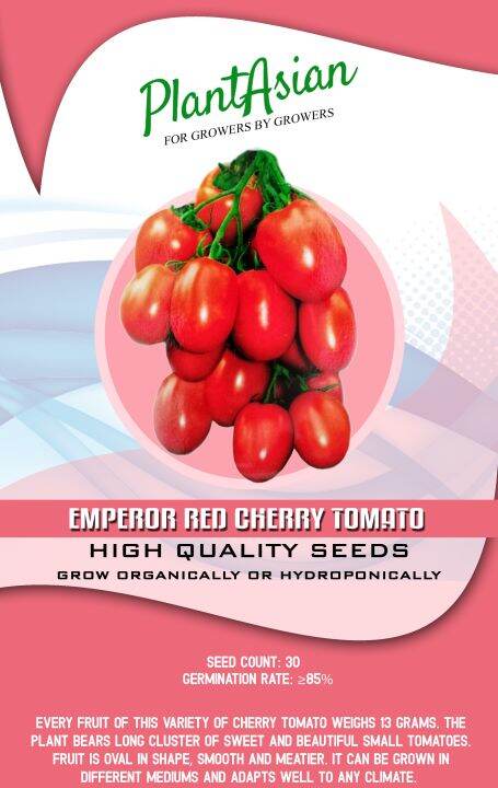 EMPEROR CHERRY TOMATO SEEDS | Lazada PH