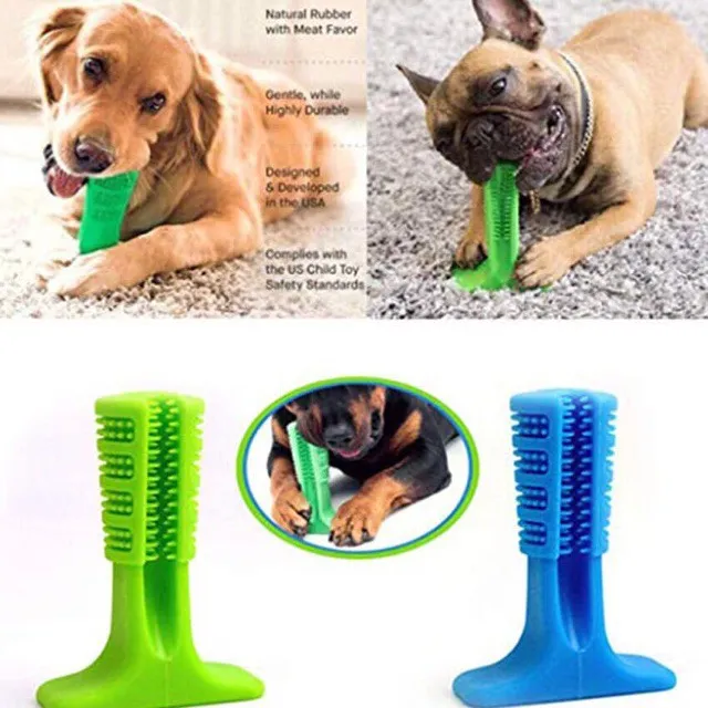 Dog Toothbrush Brushing Stick Tooth Effective Toothbrush for Dogs ...